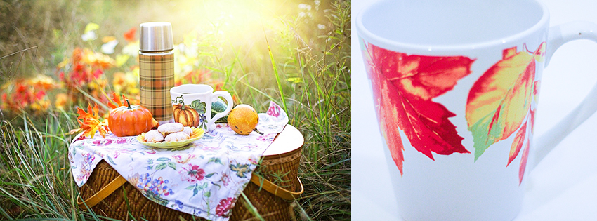 Celebrate Autumn With Festive Fall Tea-lation! Tea Blends – Fall in ...