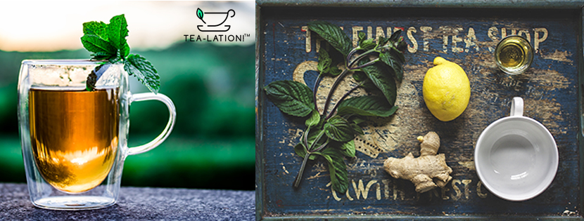 Introducing: T-L! Tea-vive! & Thrive White + Green Tea Blend (ALL ...